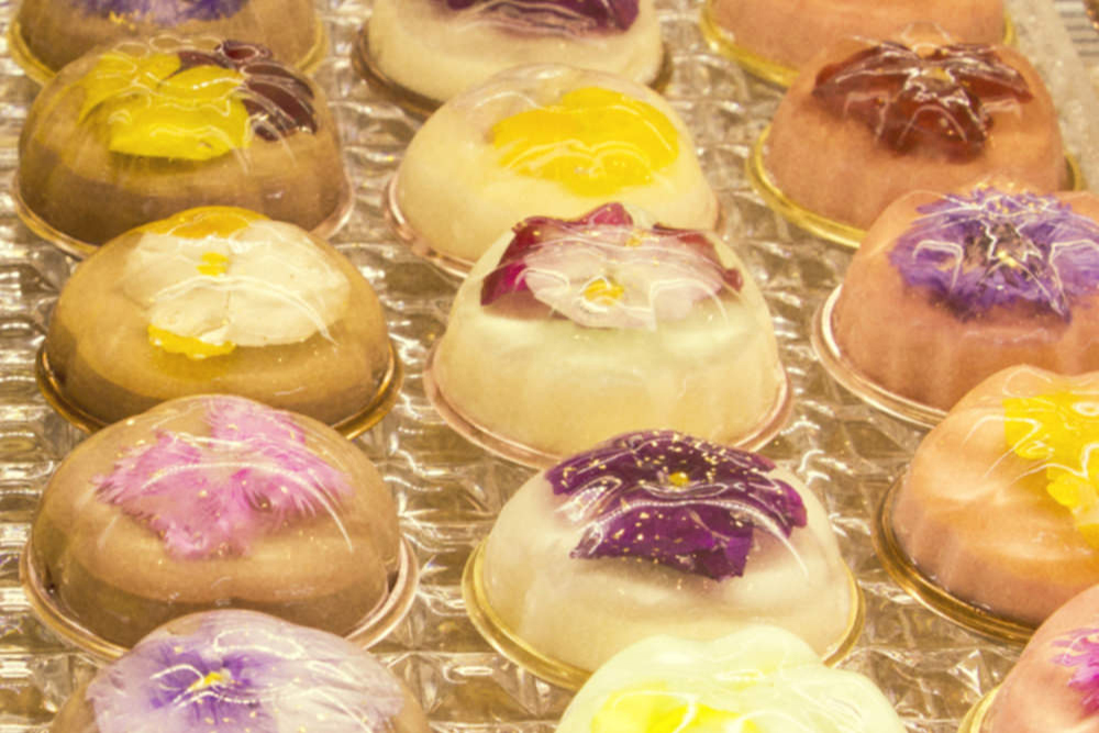 花のババロア havaro エディブルフラワー（食べれるお花）のババロア専門店 東京土産やクリスマスのカーネーションとしてもピッタリ